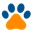 Pets for Sale or Adoption in Waco, TX | Pets Classifieds